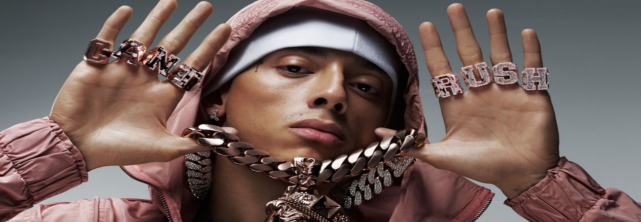 Concerts & Gigs in Dublin | Mar - Apr 2025 | Castle Hotel Dublin